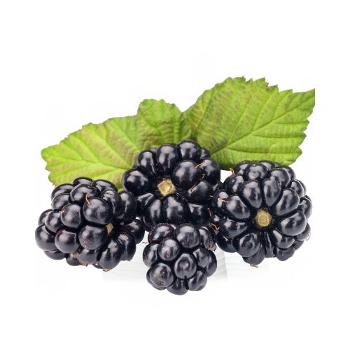 Blackberry - Punnet – DeliverFresh